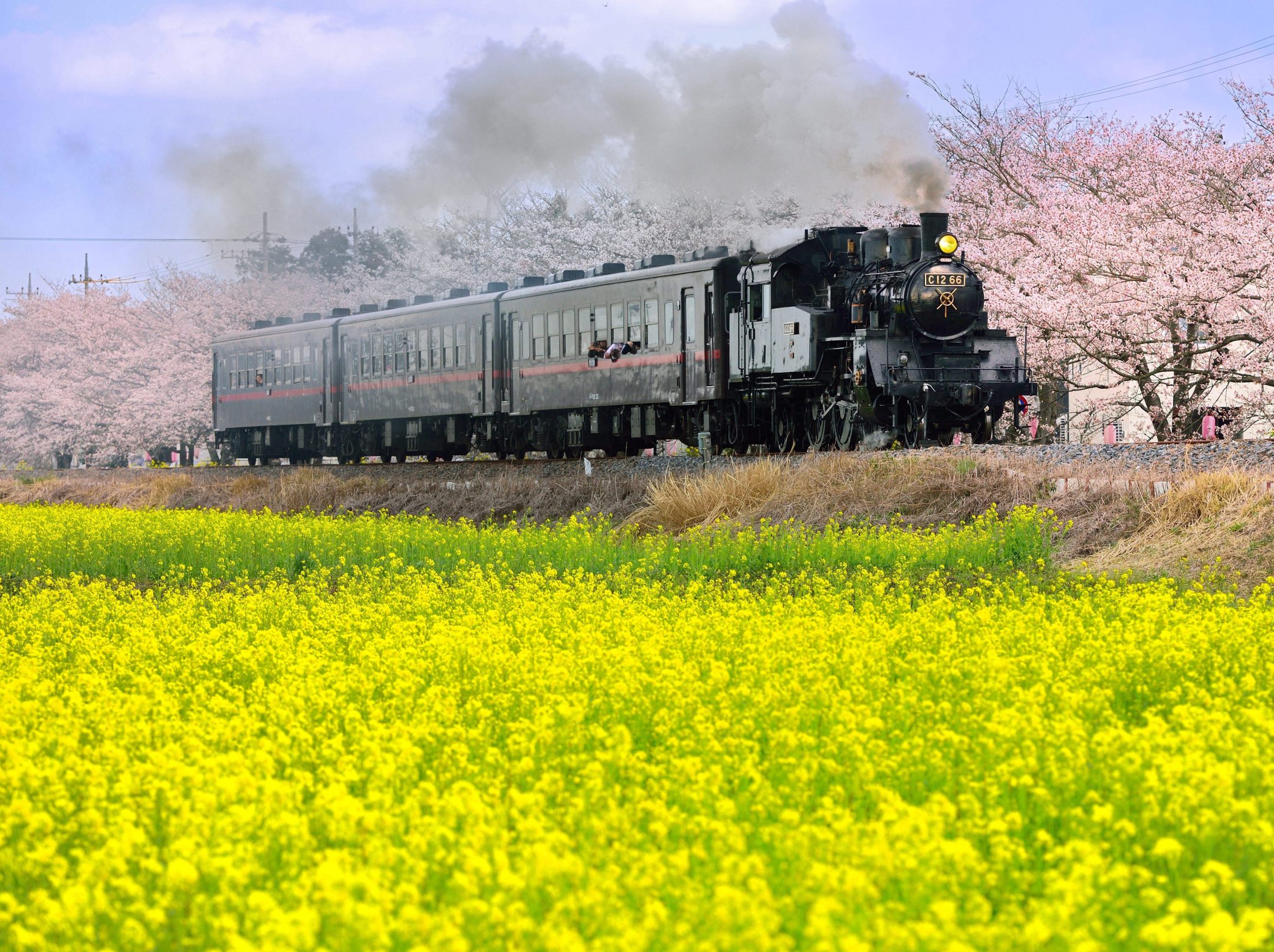 Steam Locomotives in Mooka | Visit Tochigi