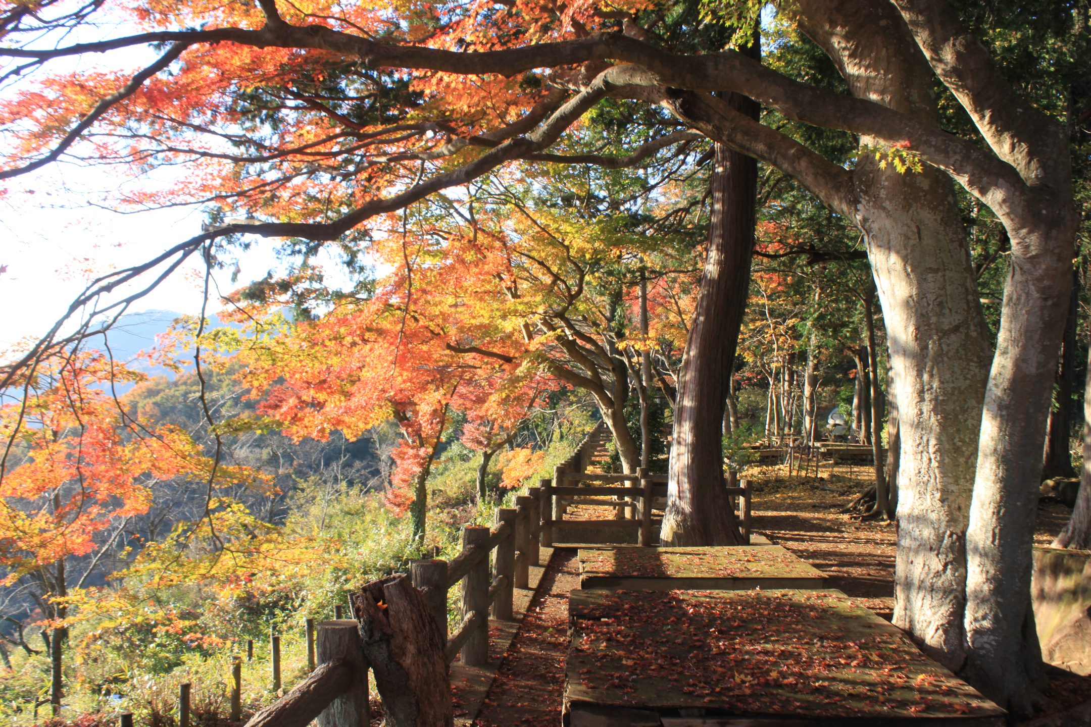 Mt. Ohira | Visit Tochigi