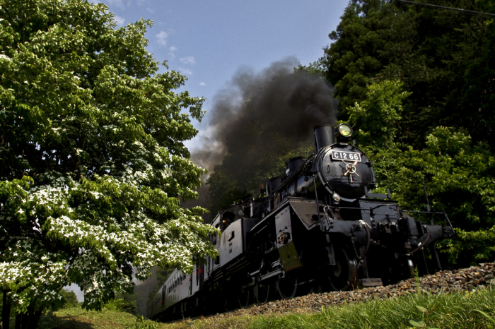 Steam Locomotives in Mooka | Visit Tochigi