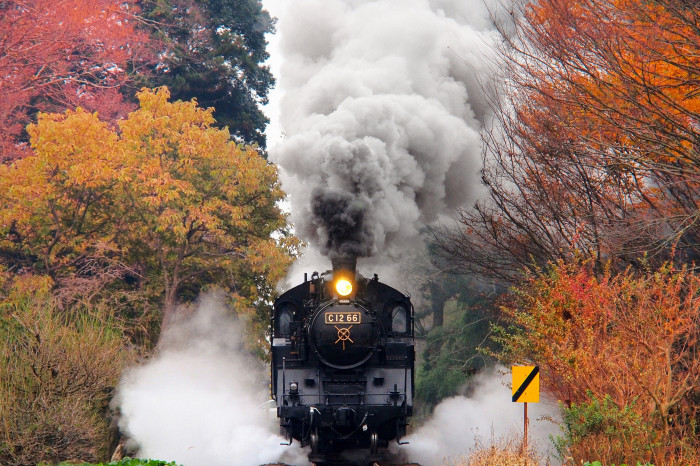 Steam Locomotives in Mooka | Visit Tochigi