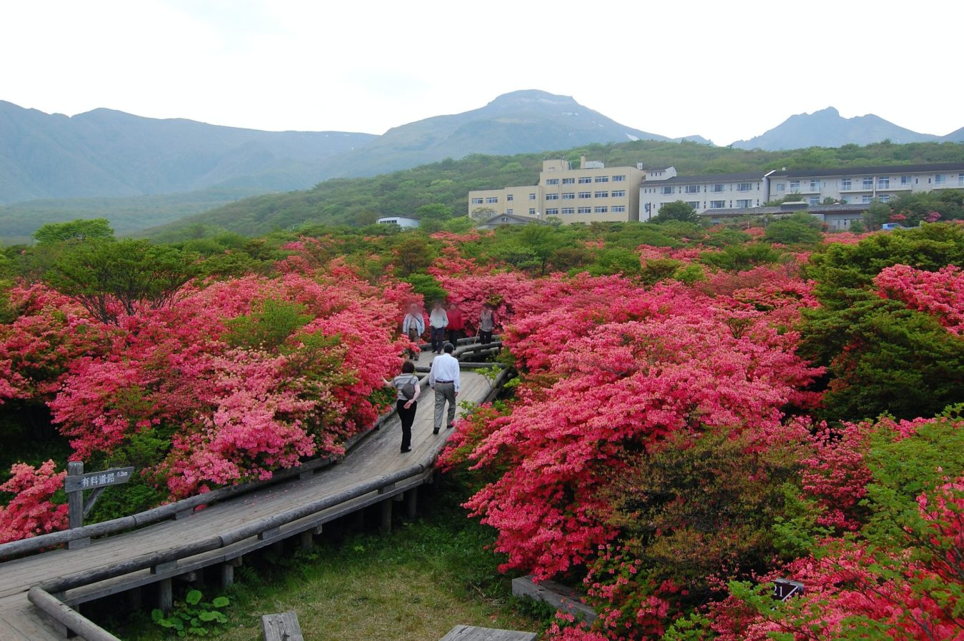 Nature | Visit Tochigi