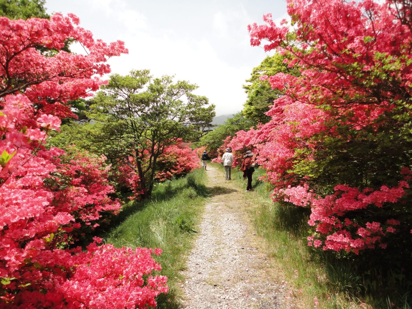 Nature | Visit Tochigi