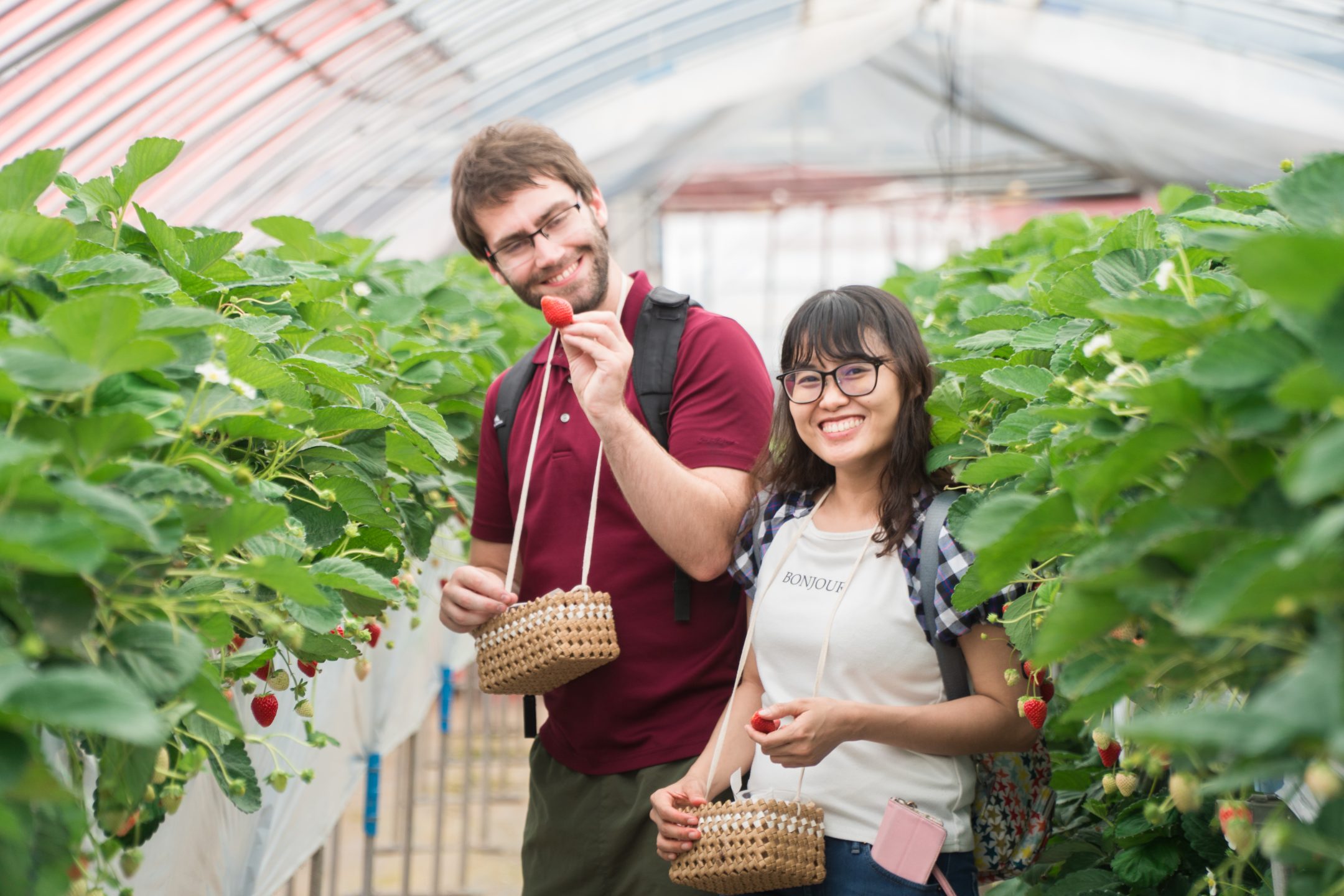Mt. Berry Oku-Nikko | Visit Tochigi