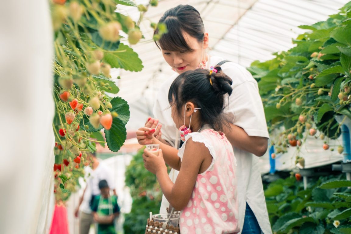 Mt. Berry Oku-Nikko | Visit Tochigi